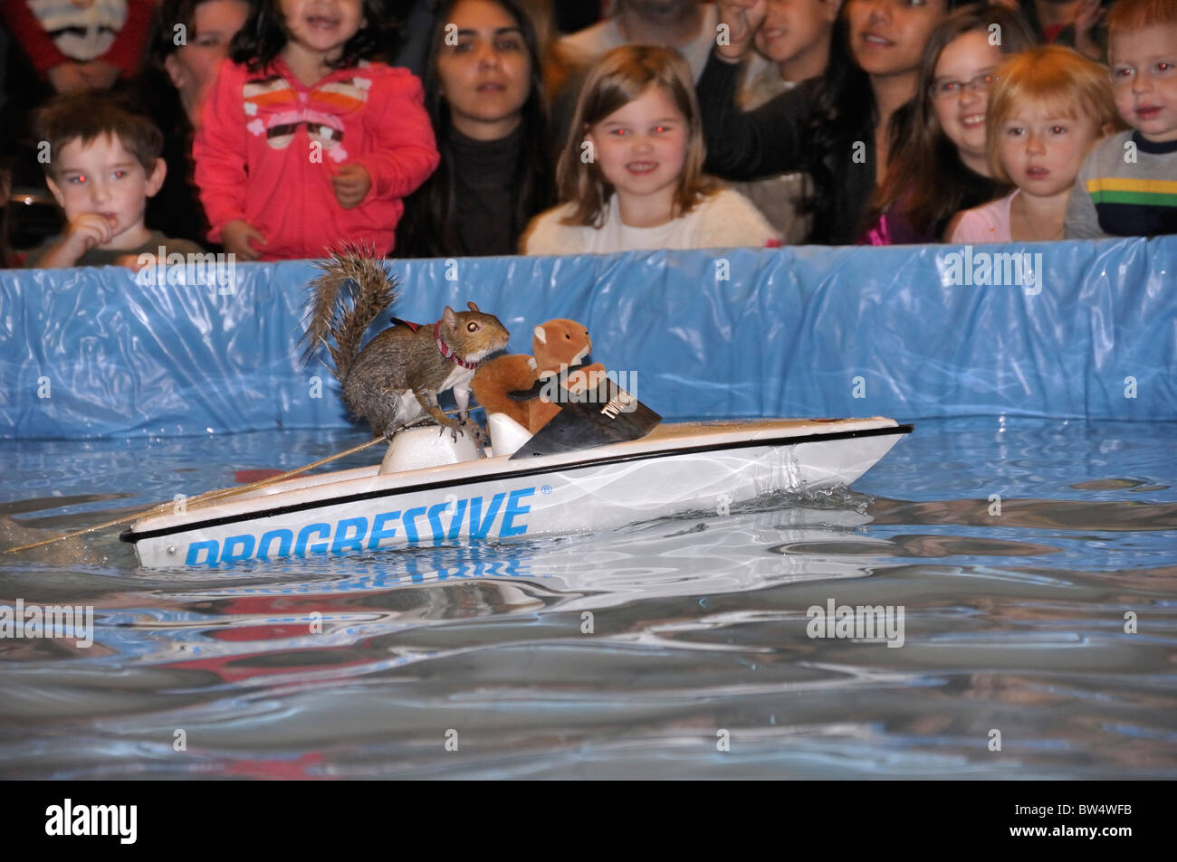 Twiggy the water skiing squirrel Stock Photo - Alamy