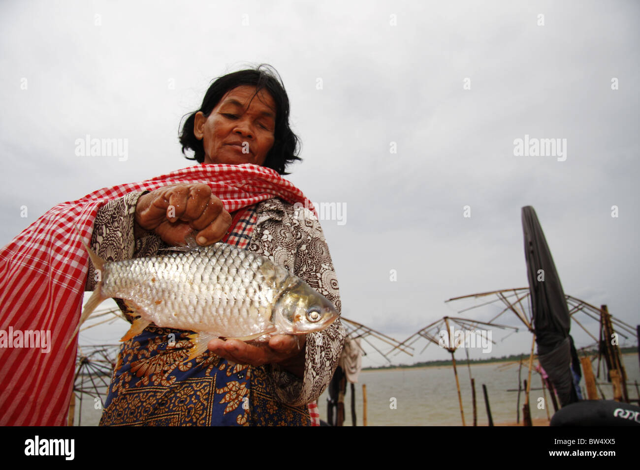 Angkor baray fish hi-res stock photography and images - Alamy
