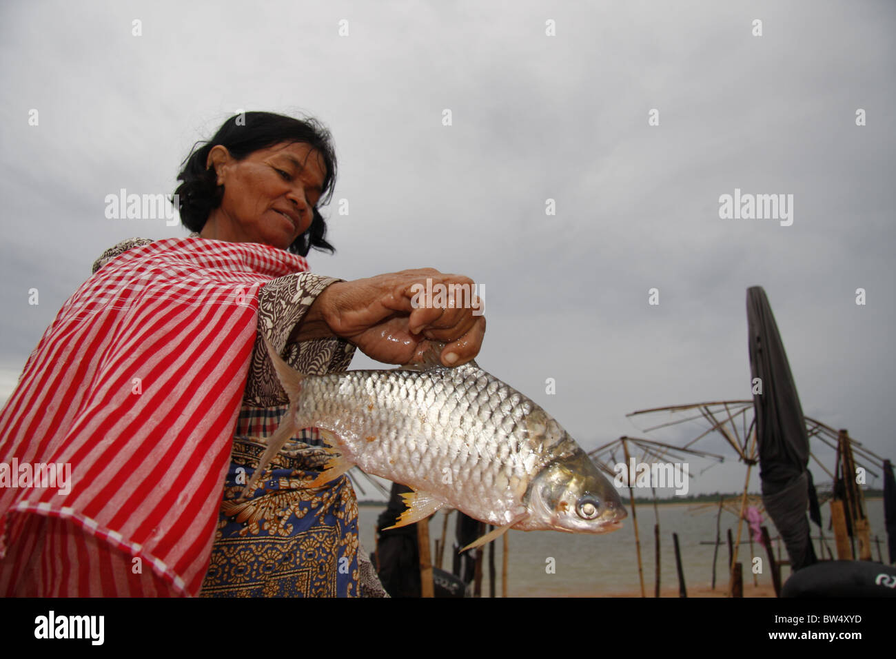 Western Baray, Angkor, Cambodia Stock Photo - Alamy