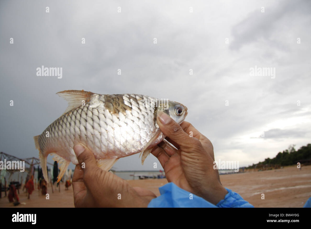 Western Baray, Angkor, Cambodia Stock Photo - Alamy