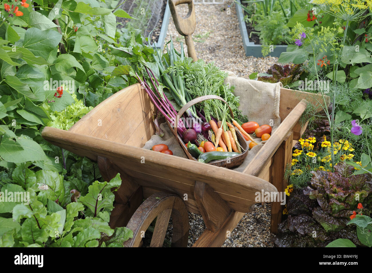 wooden garden wheelbarrow with fresh vegetables outside Stock Photo - Alamy