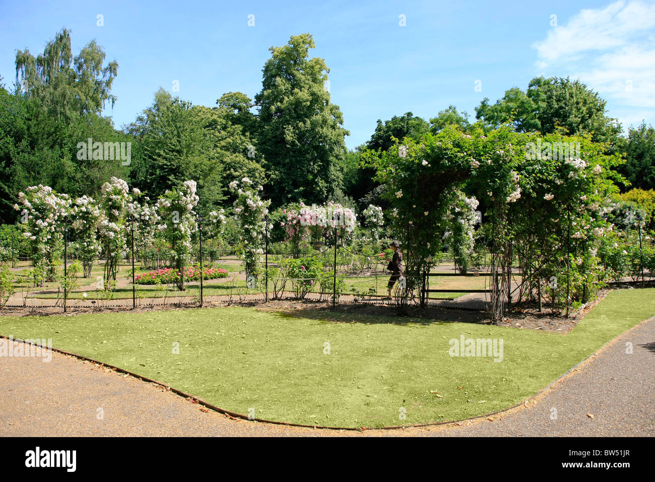 A Rose Garden In Warwick England Stock Photo - Alamy