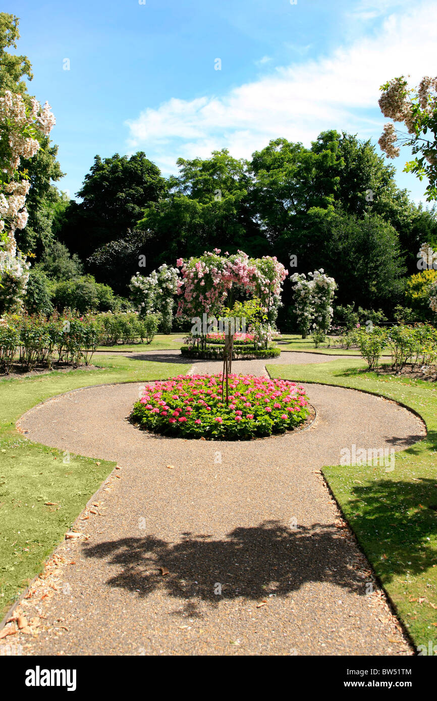 A Rose Garden In Warwick England Stock Photo - Alamy
