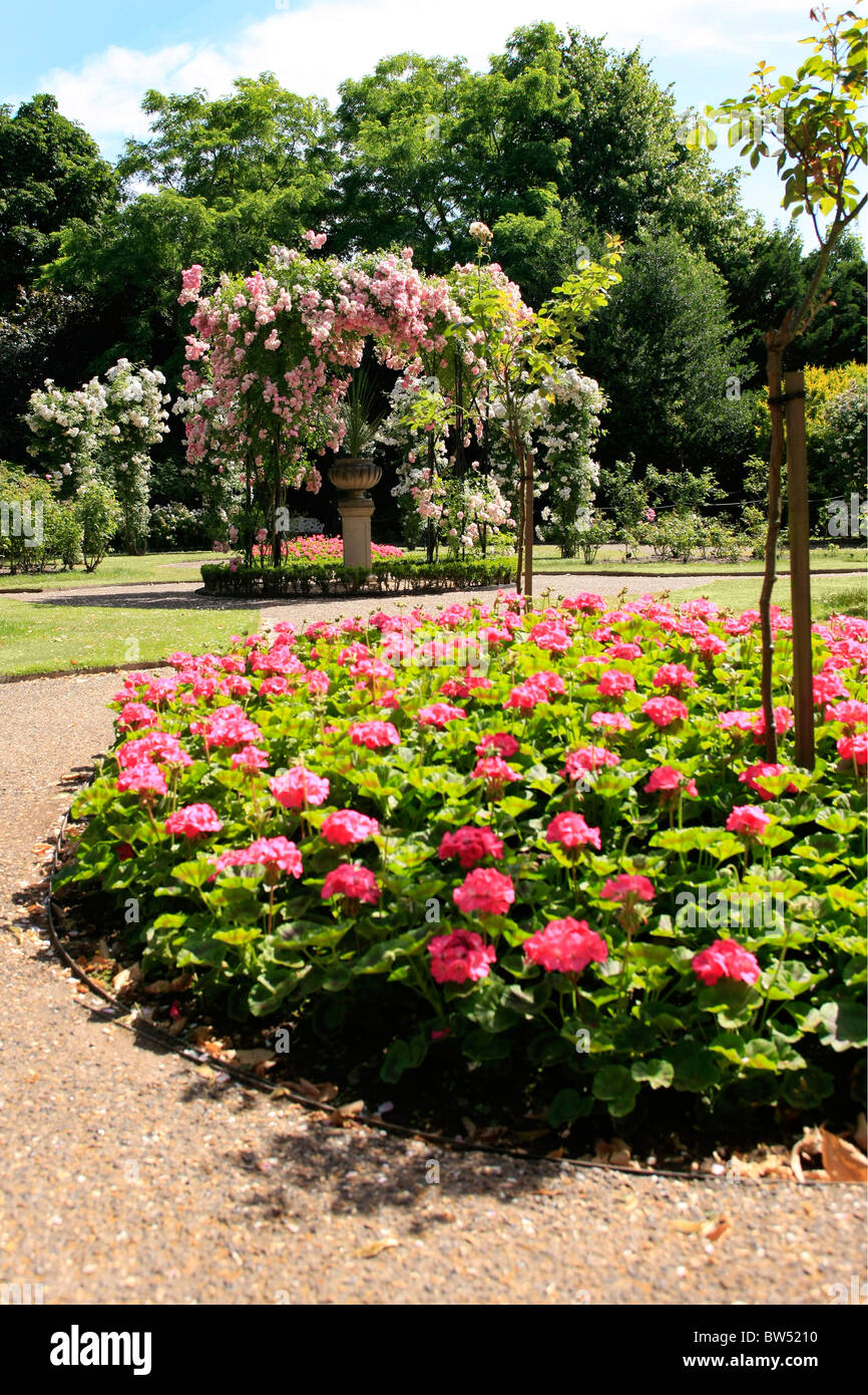 A Rose Garden In Warwick England Stock Photo - Alamy