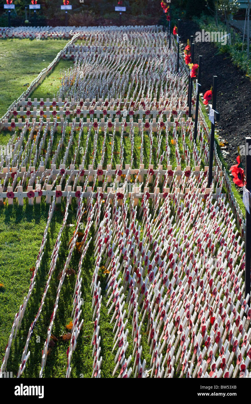 Field of remembrance at lydiard park hi-res stock photography and ...
