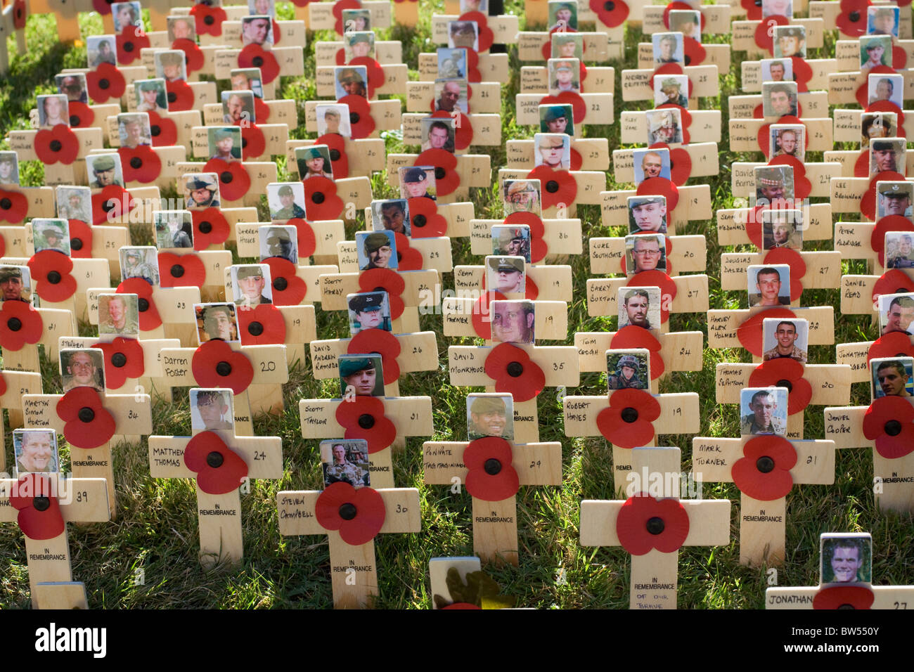 Field of remembrance at lydiard park hi-res stock photography and ...