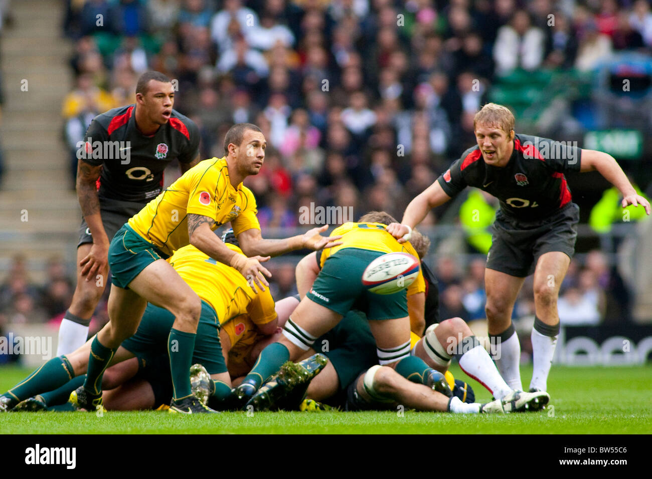 TWICKENHAM LONDON, 13-11-2010. The Investec International rugby union ...