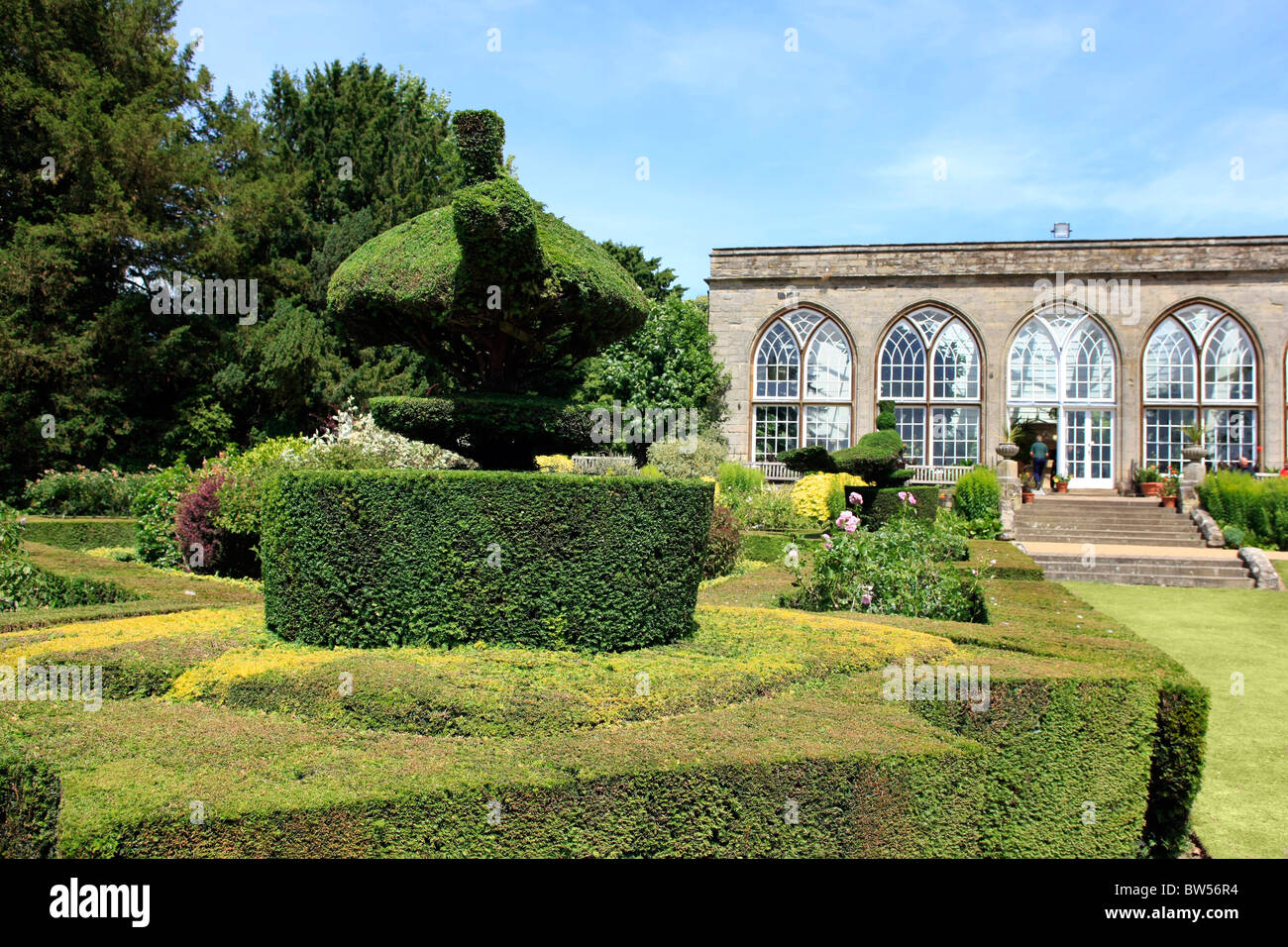 The Box Privet hedges and topiary designs in the Orangery at Warwick ...