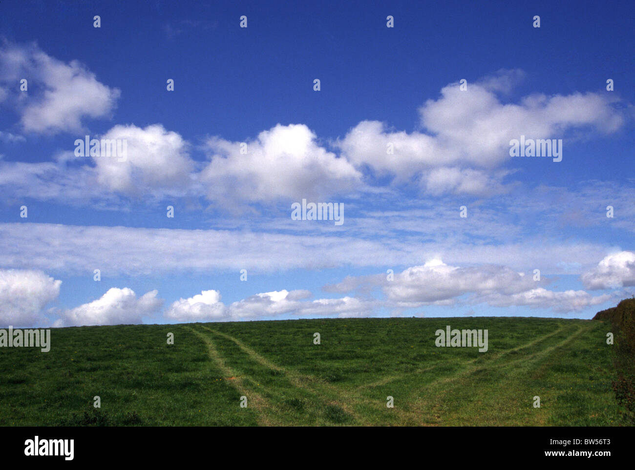Countryside, View Across Field, Day Stock Photo - Alamy