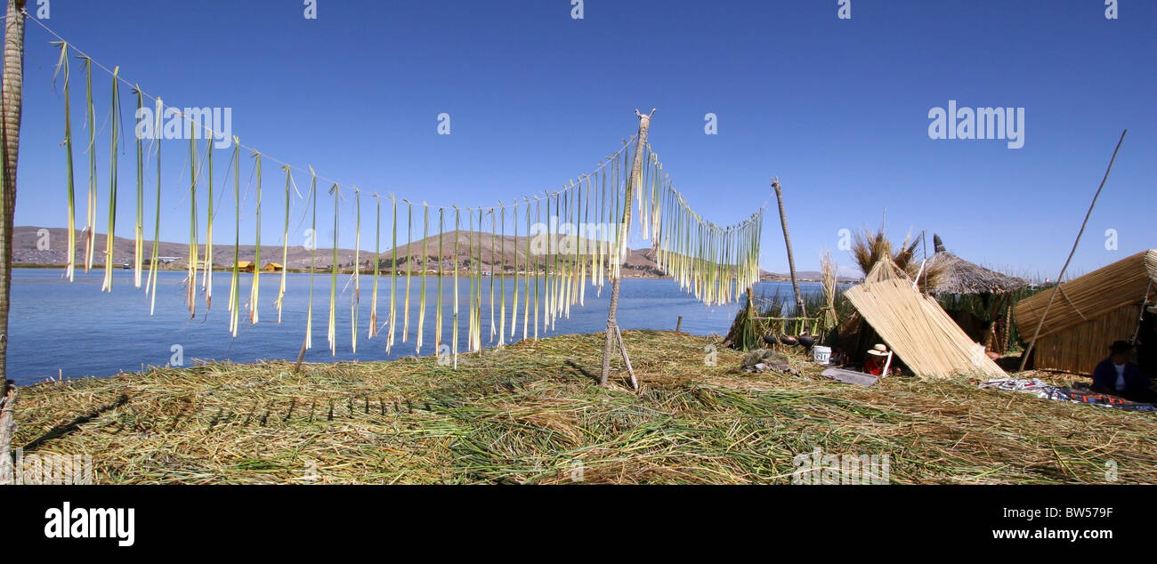 Drying Totora reeds, Uros Islands, the floating islands in Lake ...
