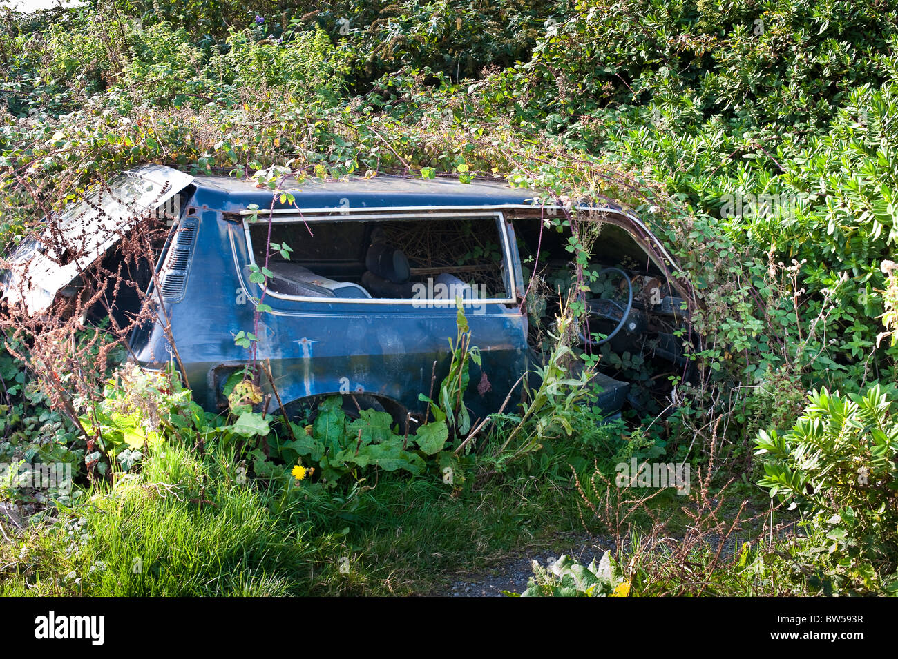 Abandoned car overgrown with weeds hi-res stock photography and images ...
