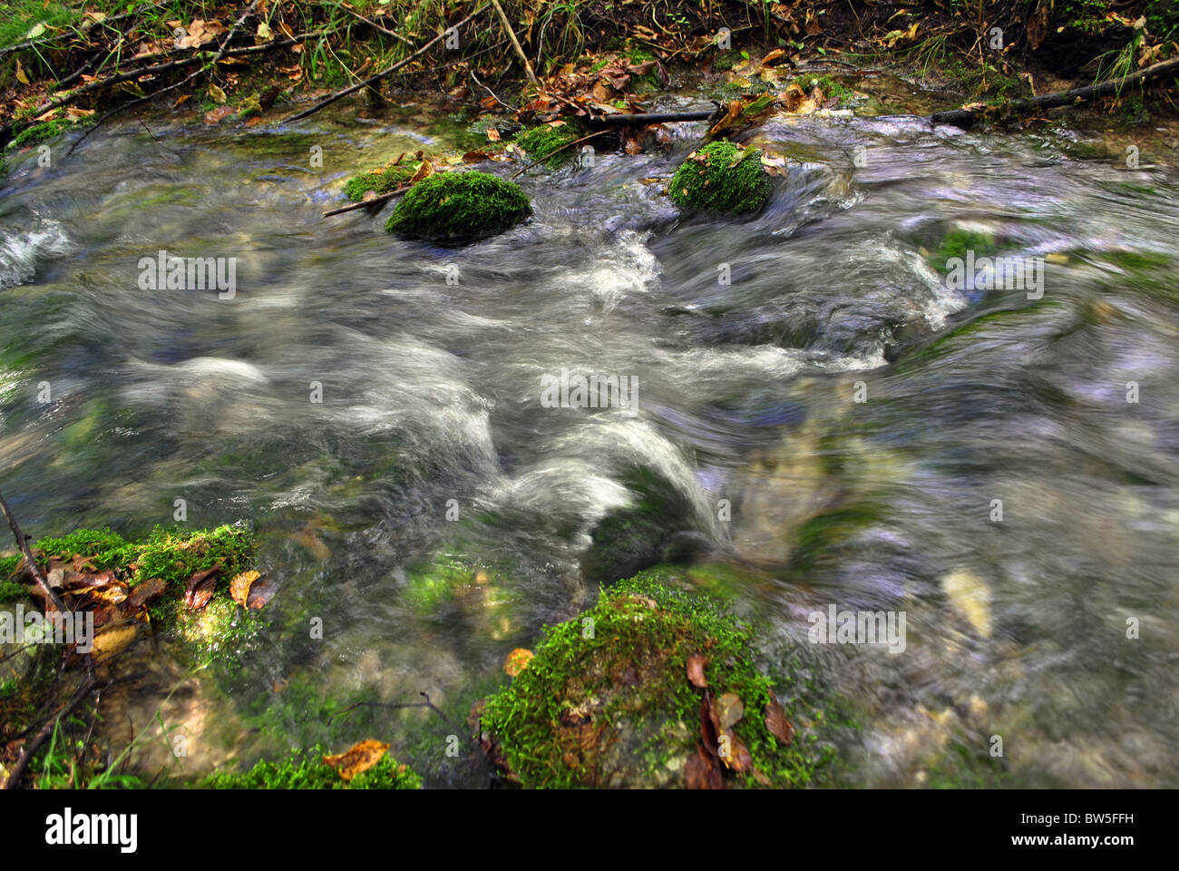 small stream with clear water in autumn Stock Photo - Alamy