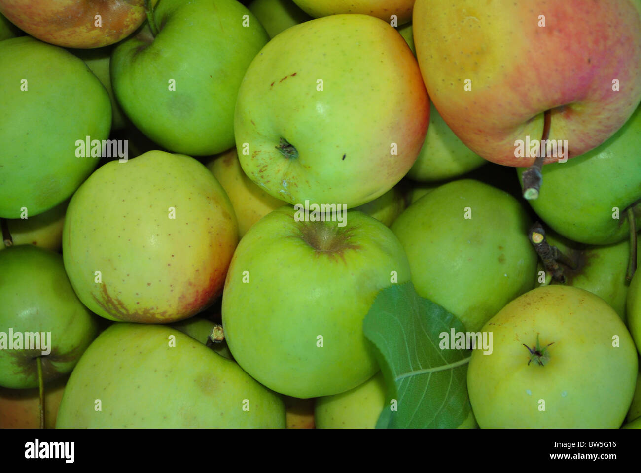 texture yellow apples Stock Photo - Alamy