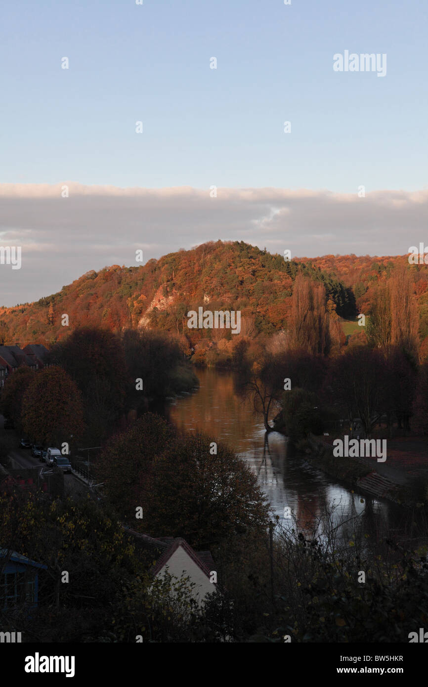 Wonderful colour array of the hillside tree line,late autumn sunshine ...