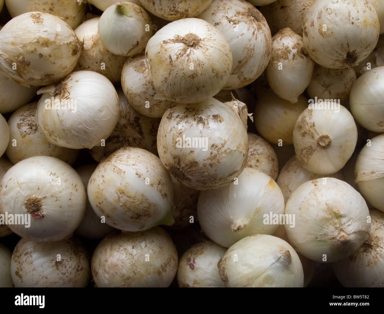 Heap white onions hi-res stock photography and images - Alamy