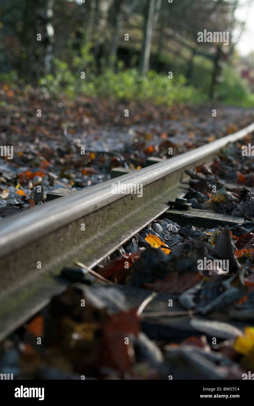 Leaves on Railway Track Stock Photo - Alamy