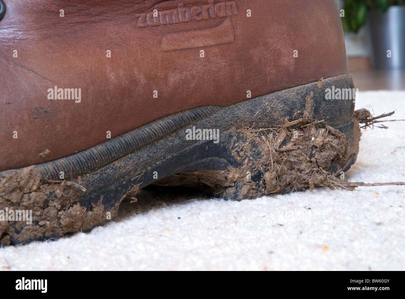 Dirty Boot on Clean Carpet Stock Photo - Alamy