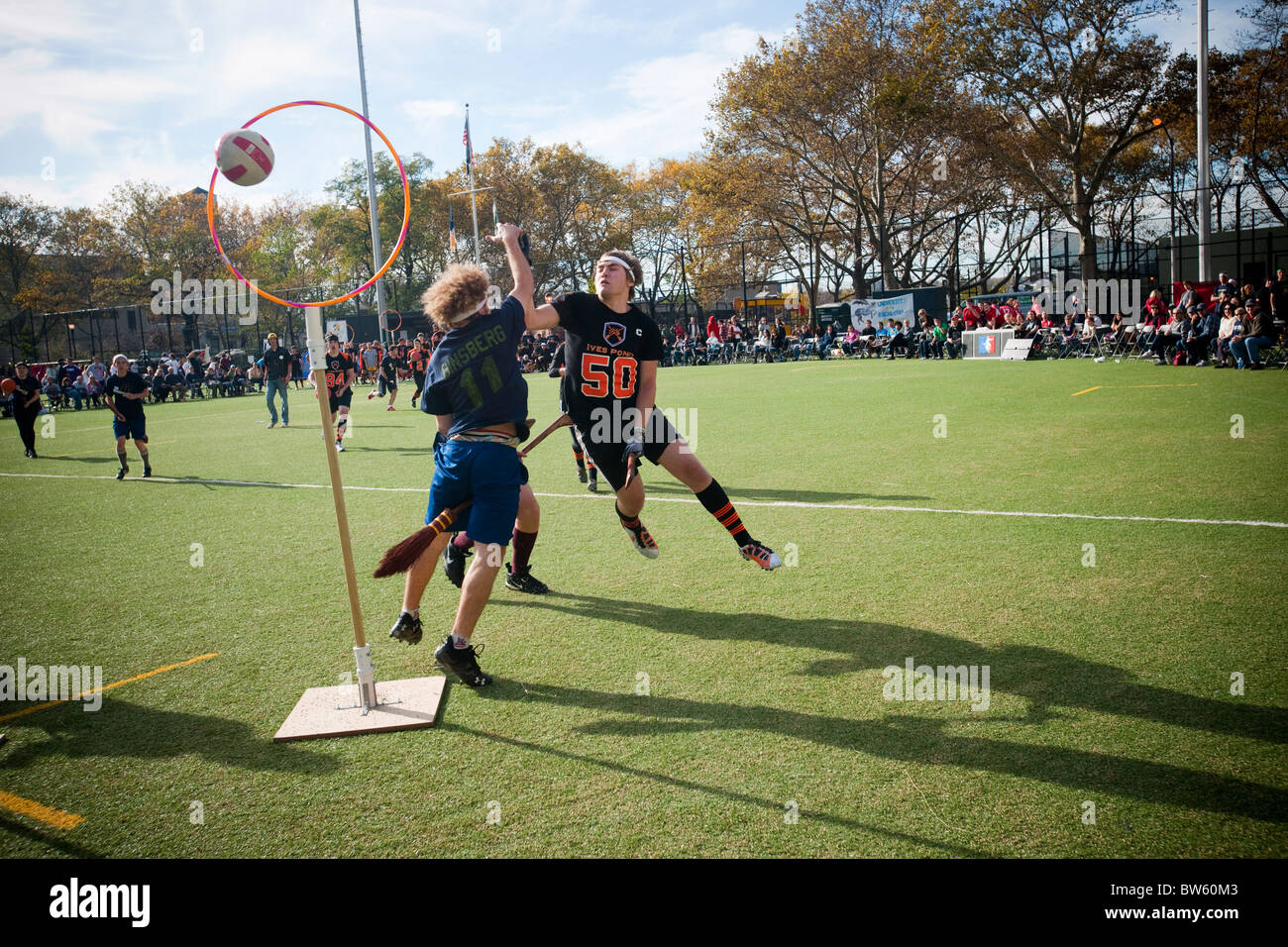 Quidditch Pitch Hoops