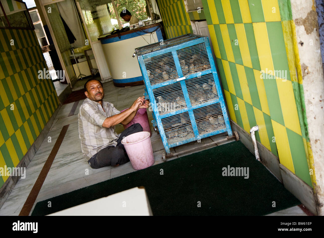 An Indian selling chicken, Delhi, India Stock Photo - Alamy