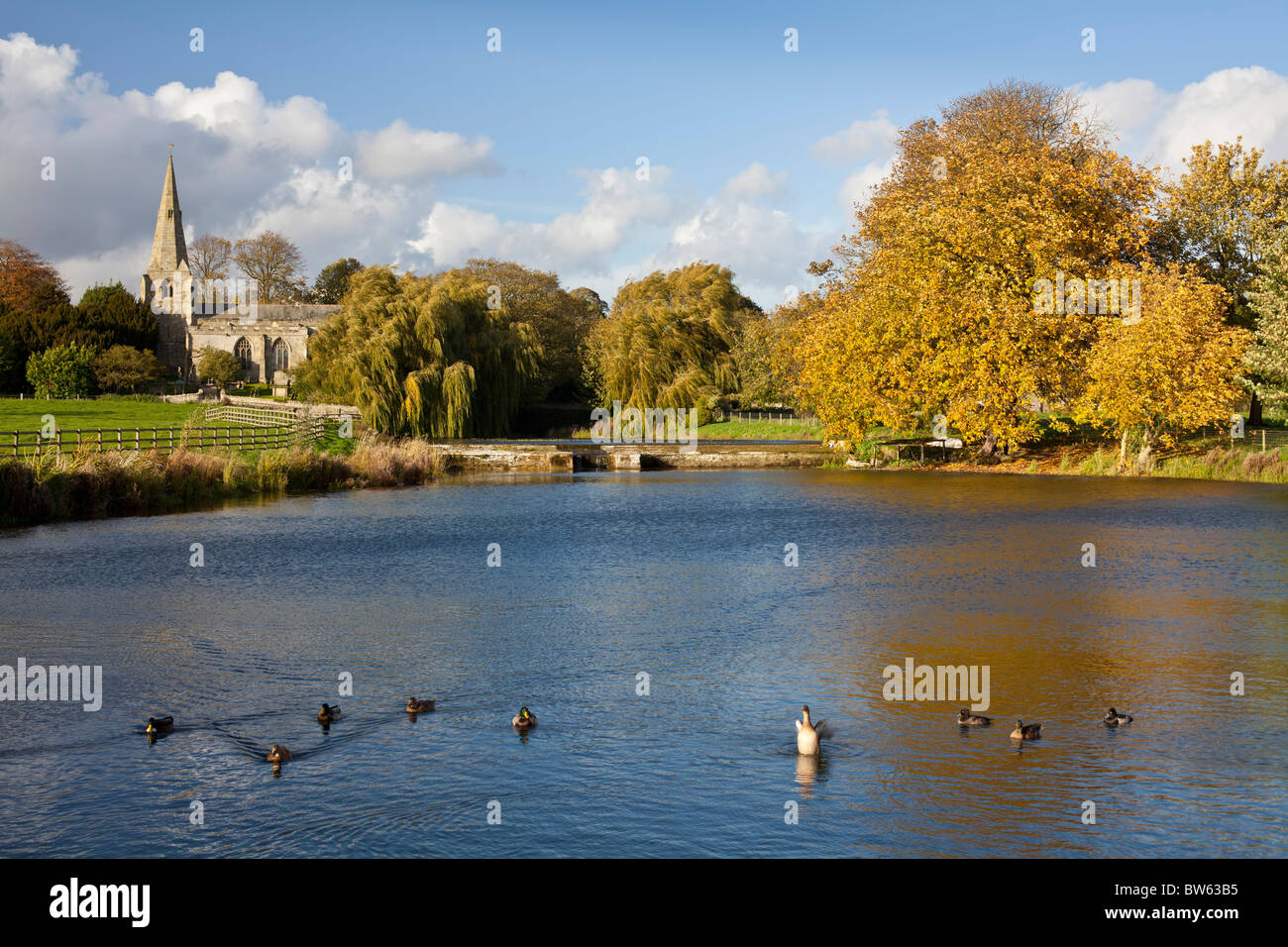 Brompton ponds at Brompton By Sawdon, North Yorkshire Stock Photo - Alamy