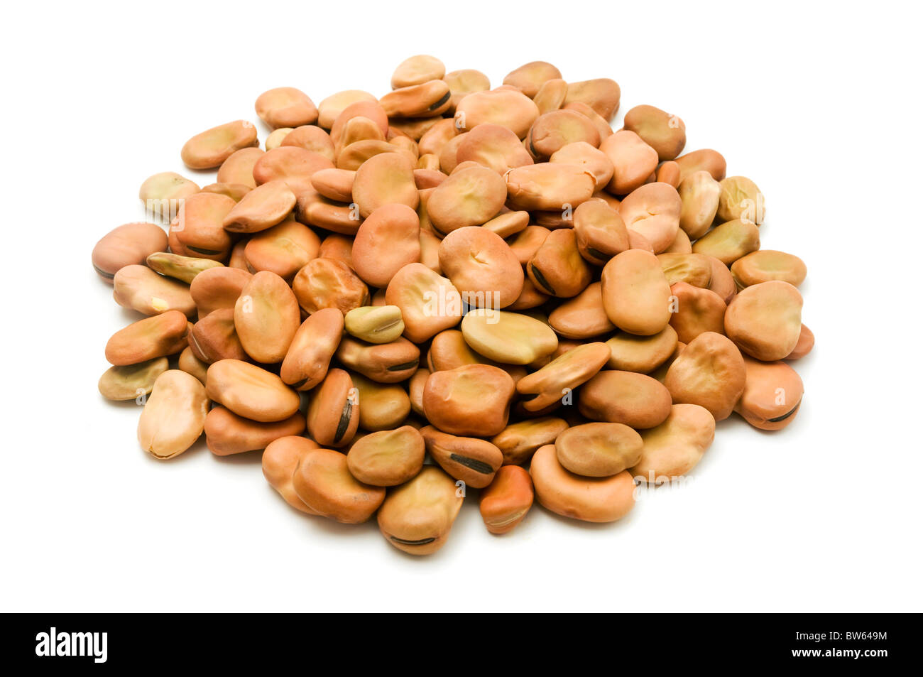 Broad beans on a white background Stock Photo - Alamy