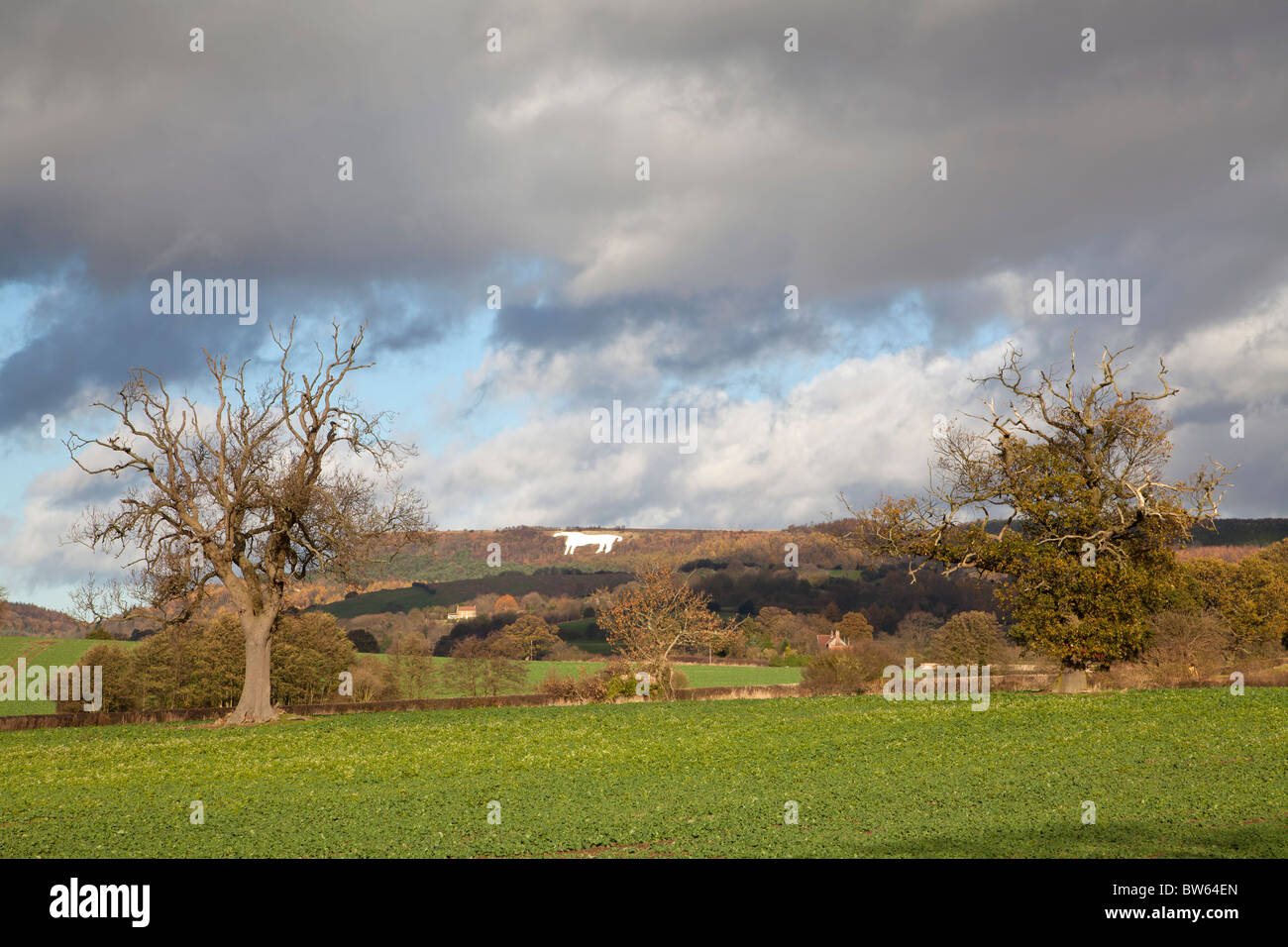 Kilburn white horse hi-res stock photography and images - Alamy