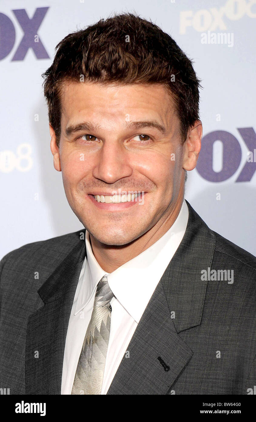 FOX Network 2008 Television Upfronts Stock Photo - Alamy