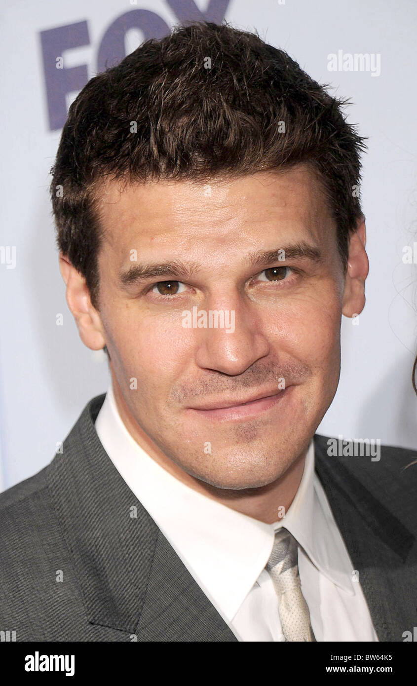 FOX Network 2008 Television Upfronts Stock Photo - Alamy