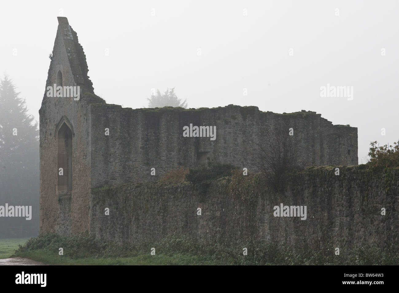 The ruins of 12 Century Godstow Abbey rise eerily out of the mist Stock ...
