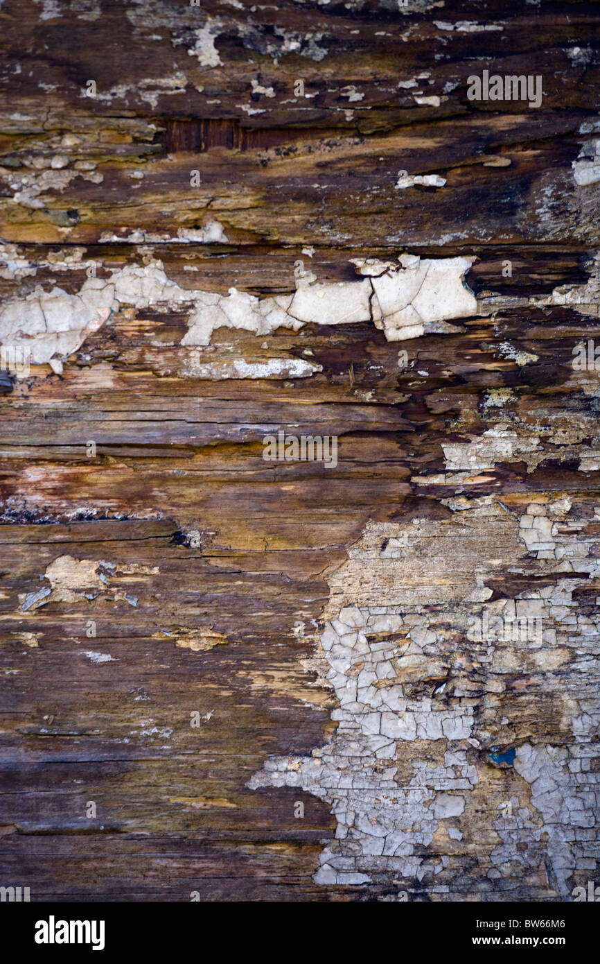 DETAILED ABSTRACT IMAGE OF OLD ROTTING WOOD Stock Photo - Alamy
