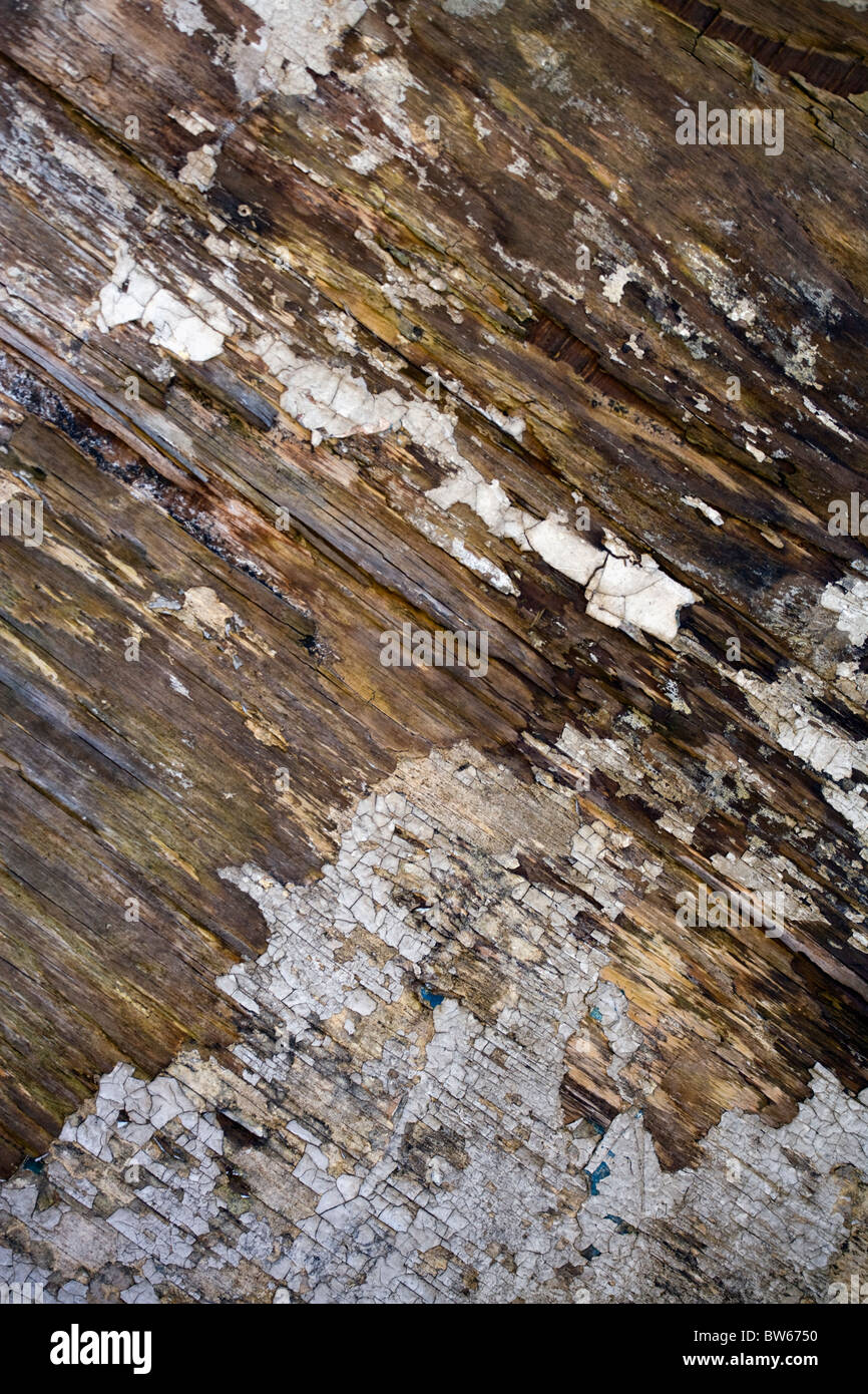 DETAILED ABSTRACT IMAGE OF OLD ROTTEN WOOD Stock Photo - Alamy