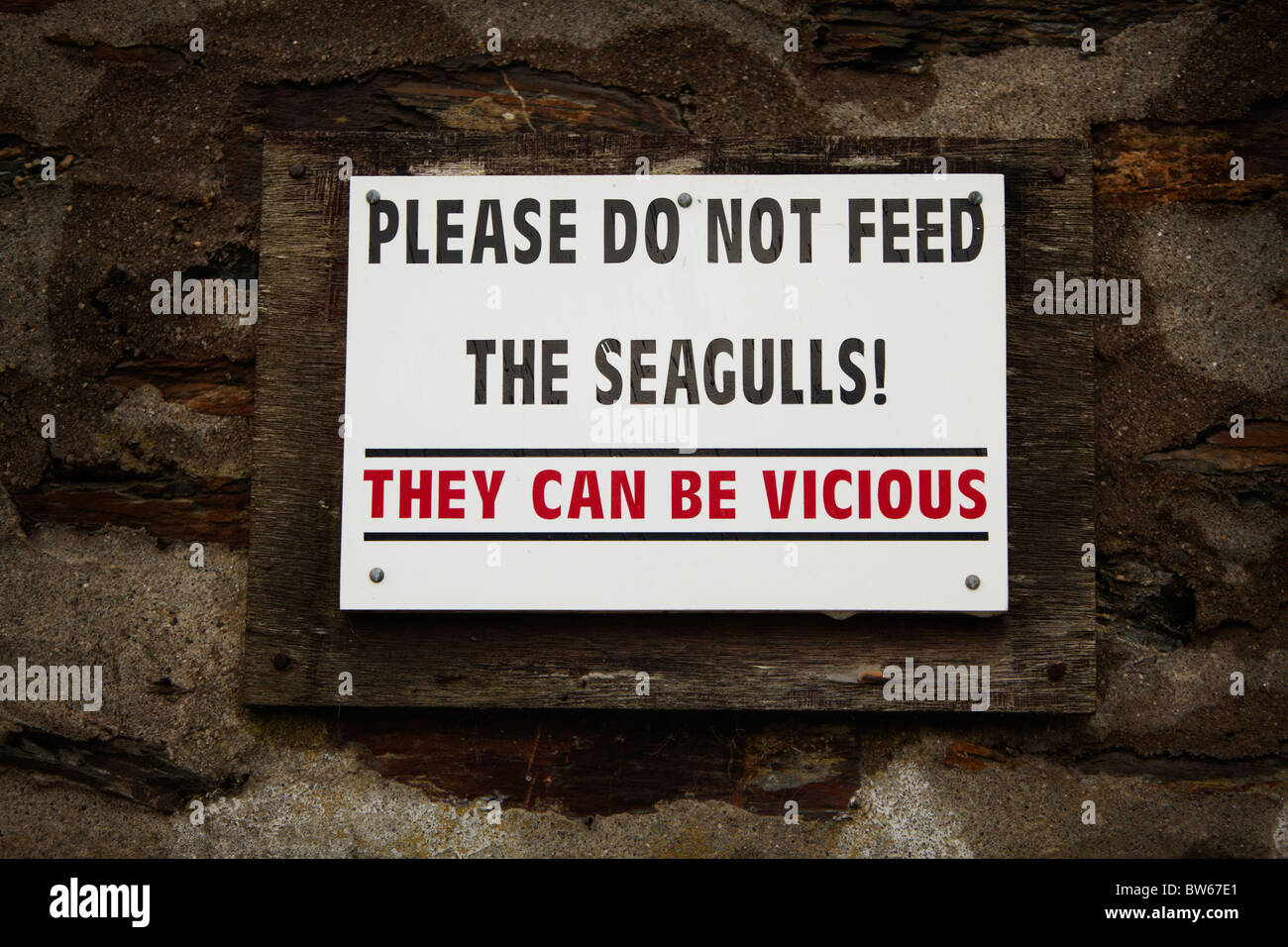 Funny seagulls hi-res stock photography and images - Alamy