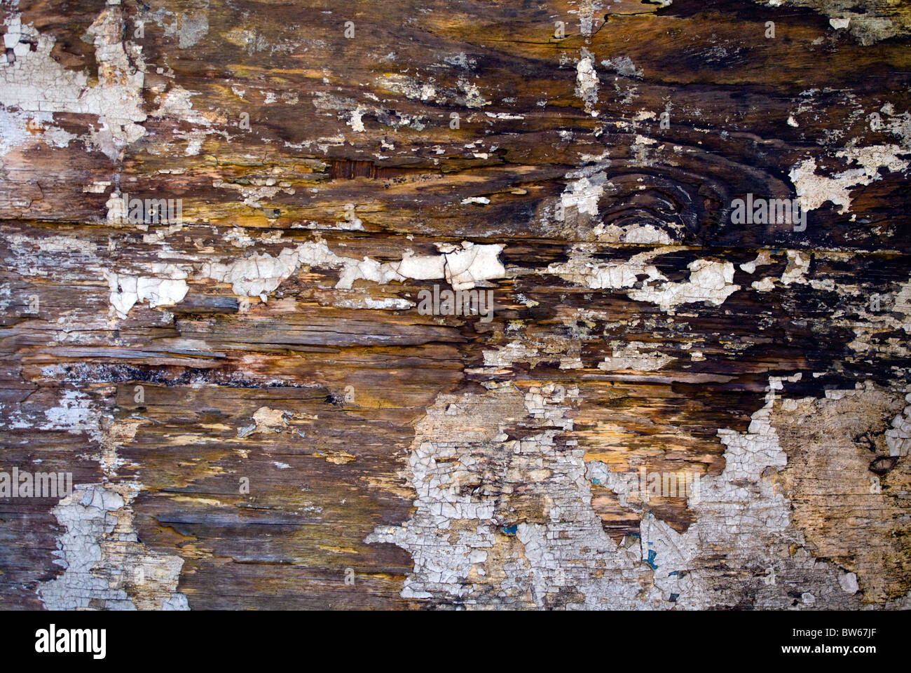Rotten color image hi-res stock photography and images - Alamy
