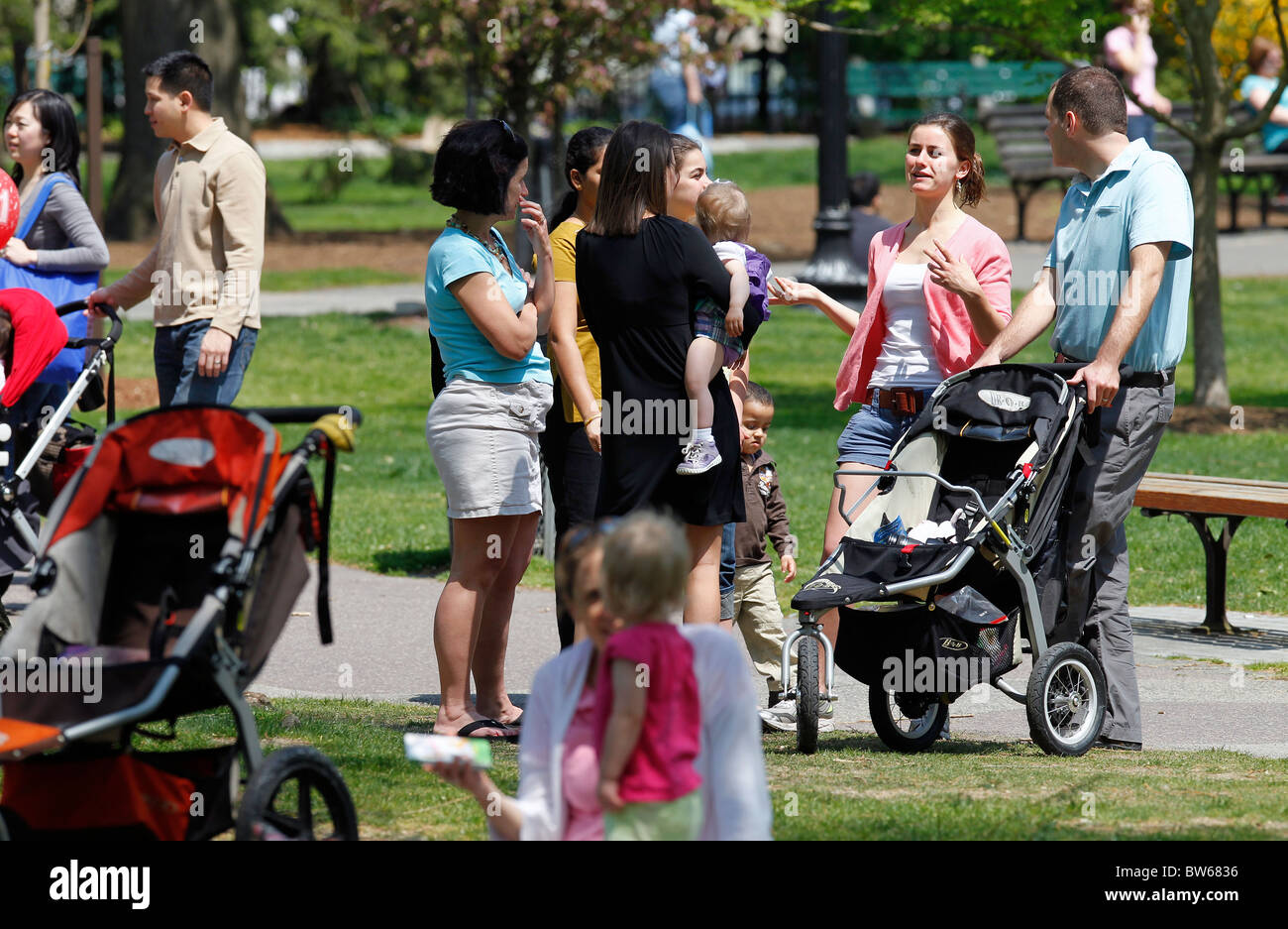 Young families socialize in the park, Boston Stock Photo - Alamy