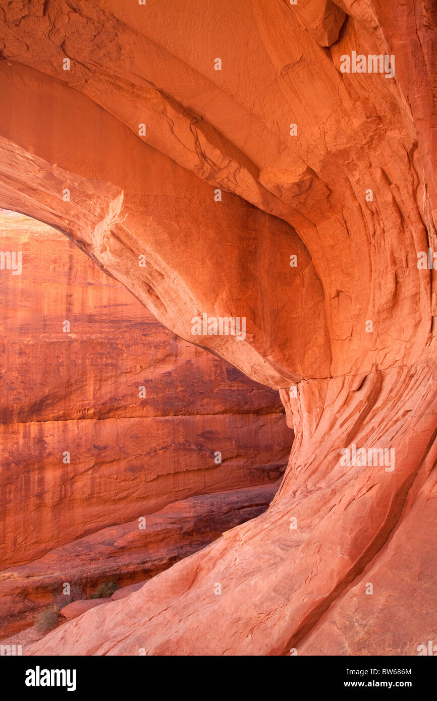 Tower arch hi-res stock photography and images - Alamy