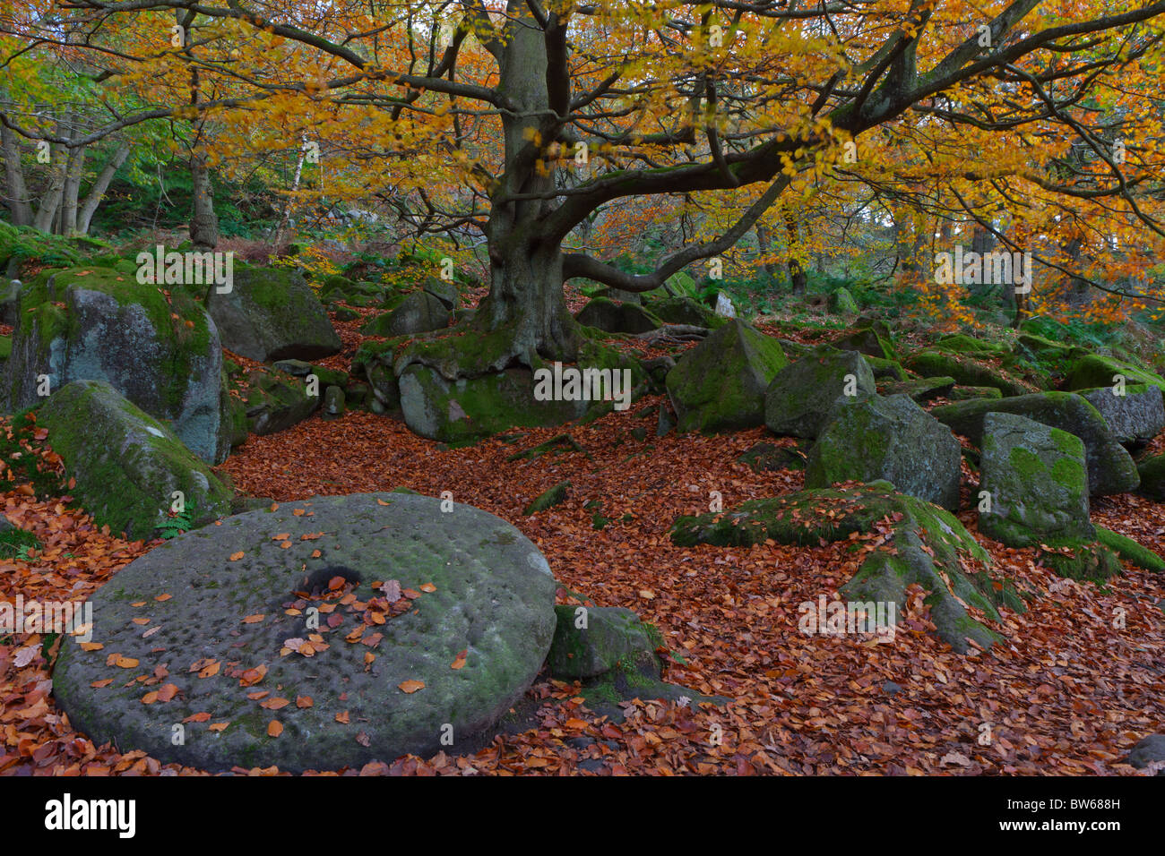 Padley mill hi-res stock photography and images - Alamy