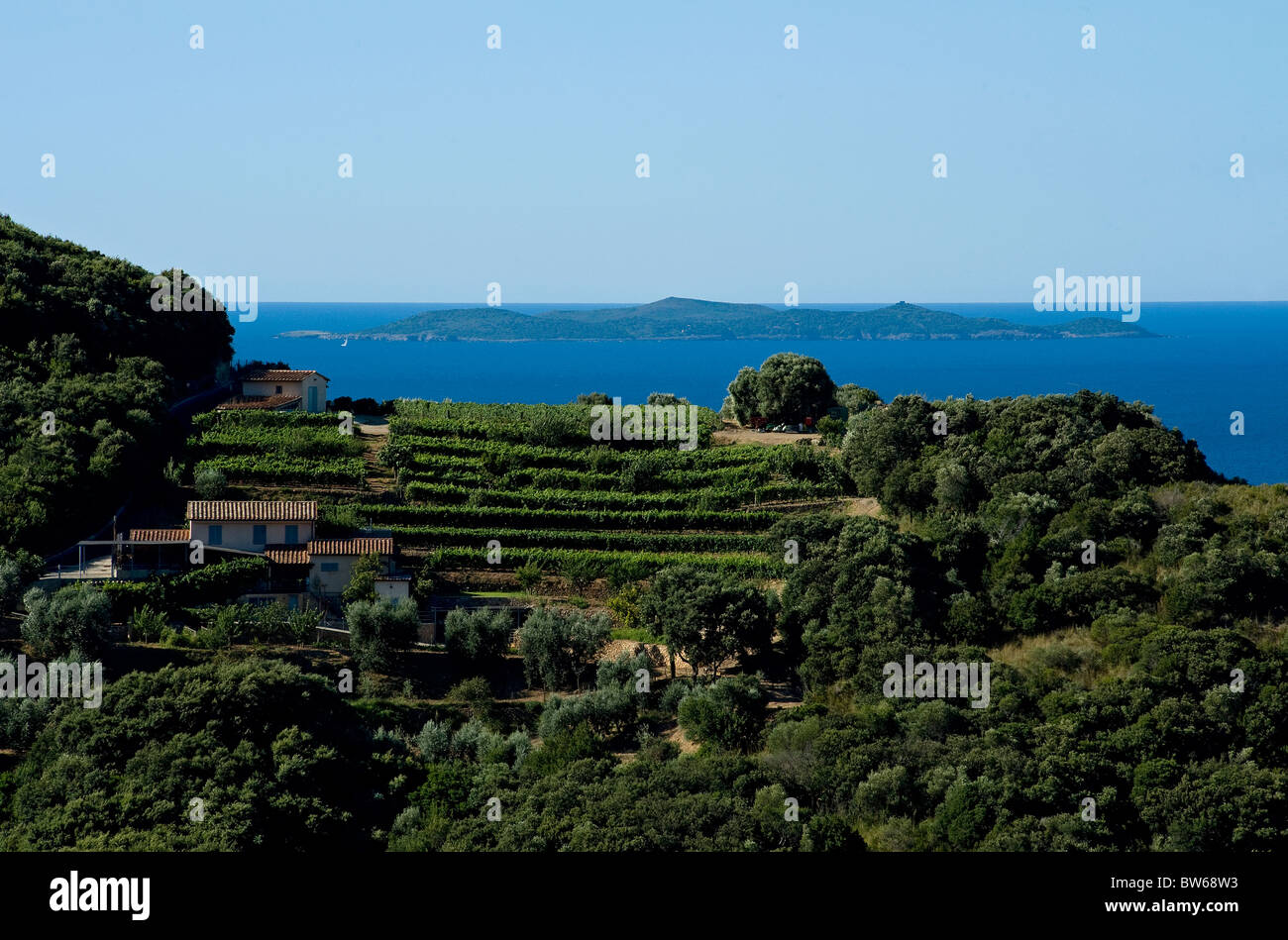 Giannutri island and Monte Argentario, Tuscany, Italy Stock Photo - Alamy