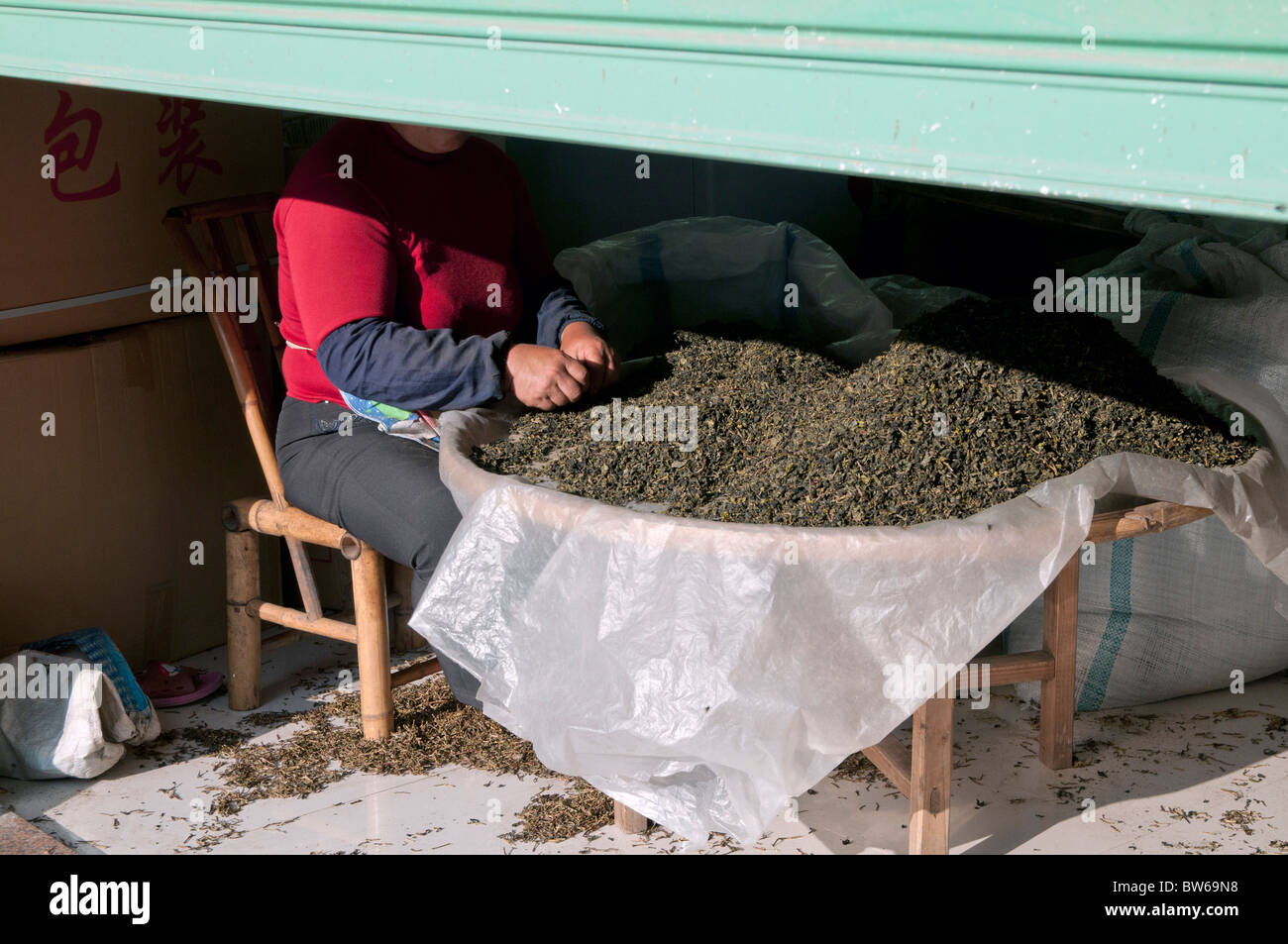 CHINA Sorting tea leaves and preparing them for packing after harvest ...