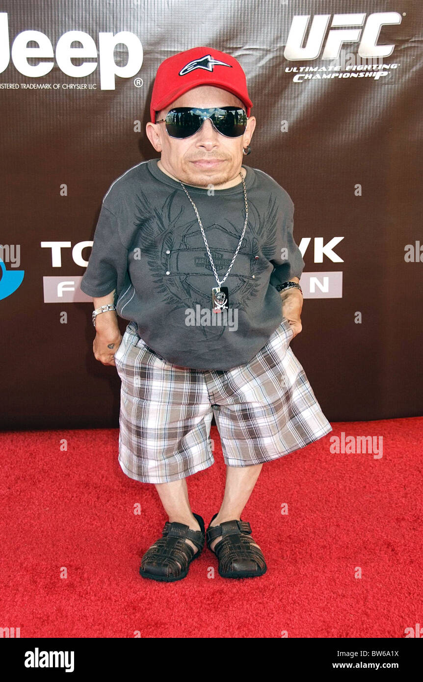 Tony Hawk Foundation Stand Up For Skateparks Benefit Stock Photo - Alamy