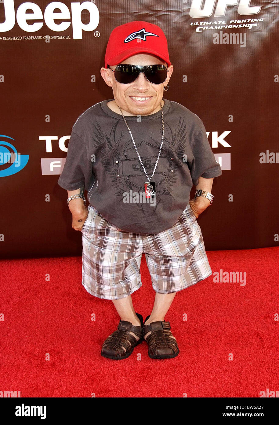 Tony Hawk Foundation Stand Up For Skateparks Benefit Stock Photo - Alamy