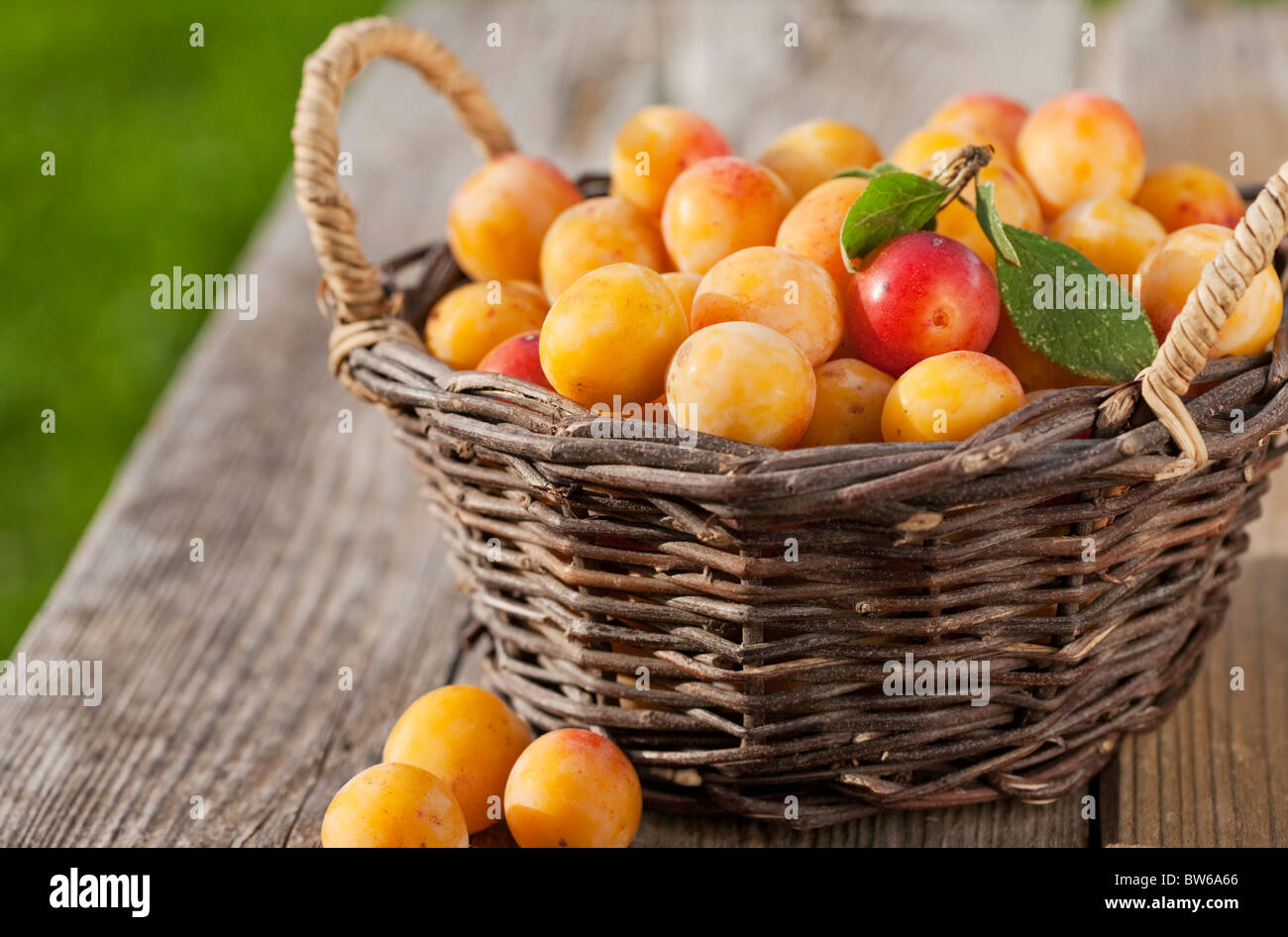 Small yellow plums hi-res stock photography and images - Alamy