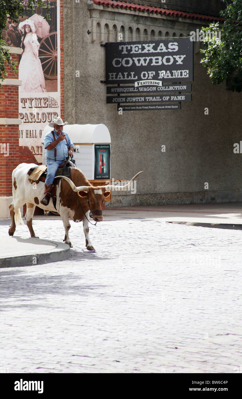 Cow riding hi-res stock photography and images - Alamy