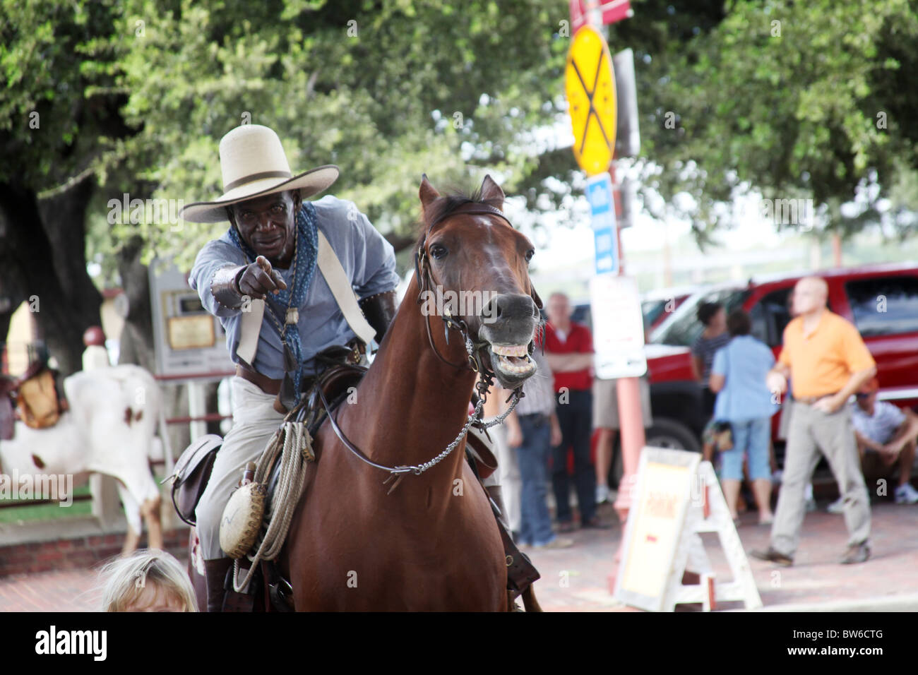 Cowboy on horse cattle hi-res stock photography and images - Alamy