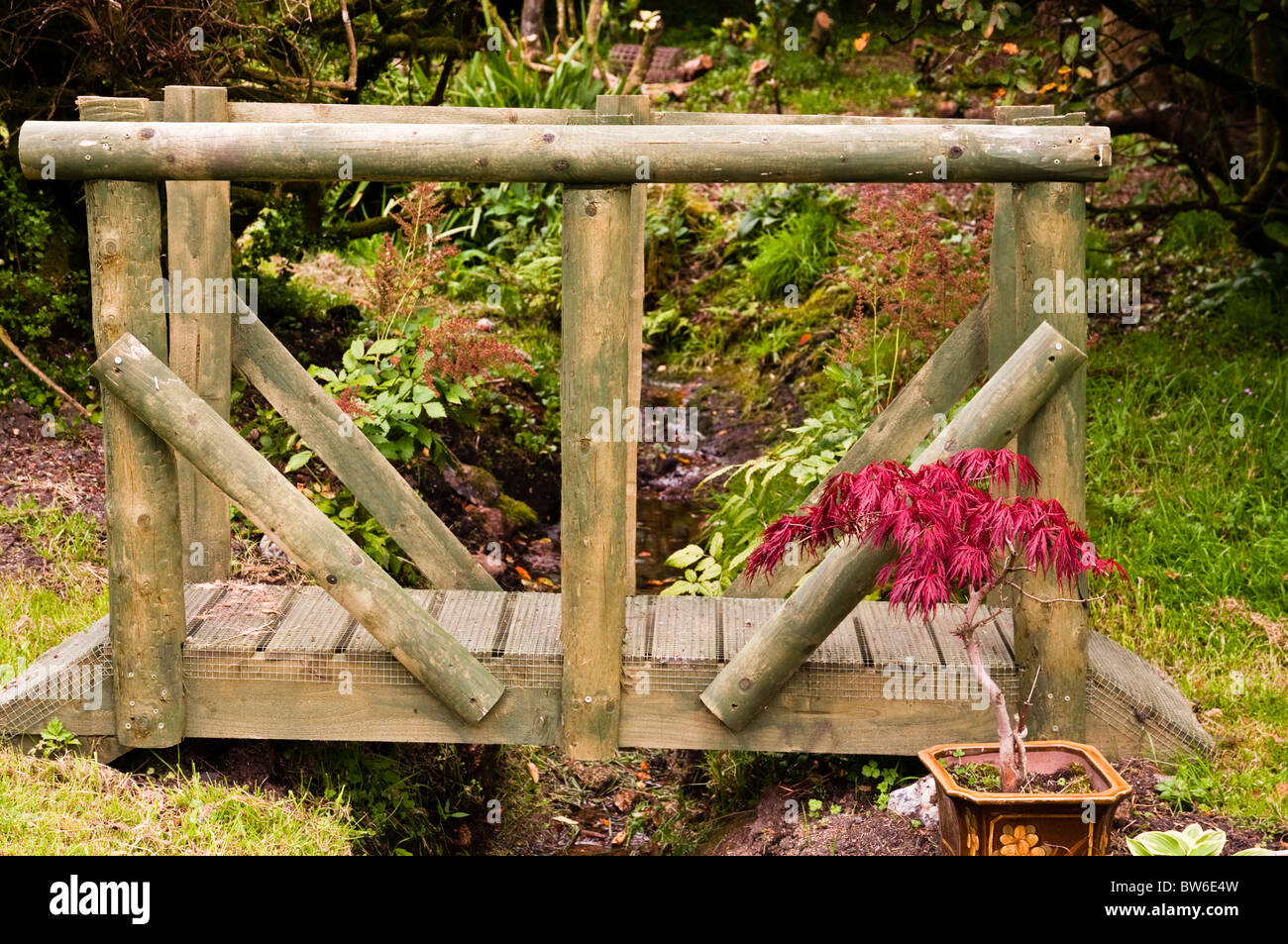 Little gully hi-res stock photography and images - Alamy