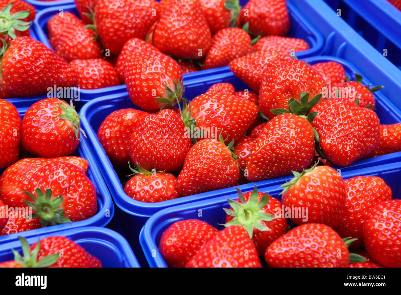 Tray red ripe strawberries hi-res stock photography and images - Alamy
