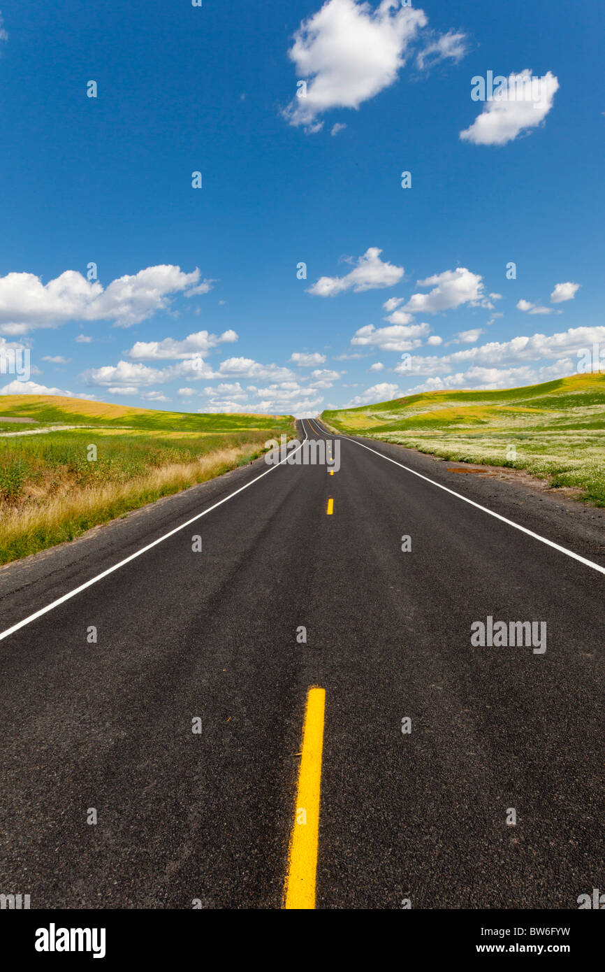 Road through The Palouse, Washington, USA Stock Photo - Alamy