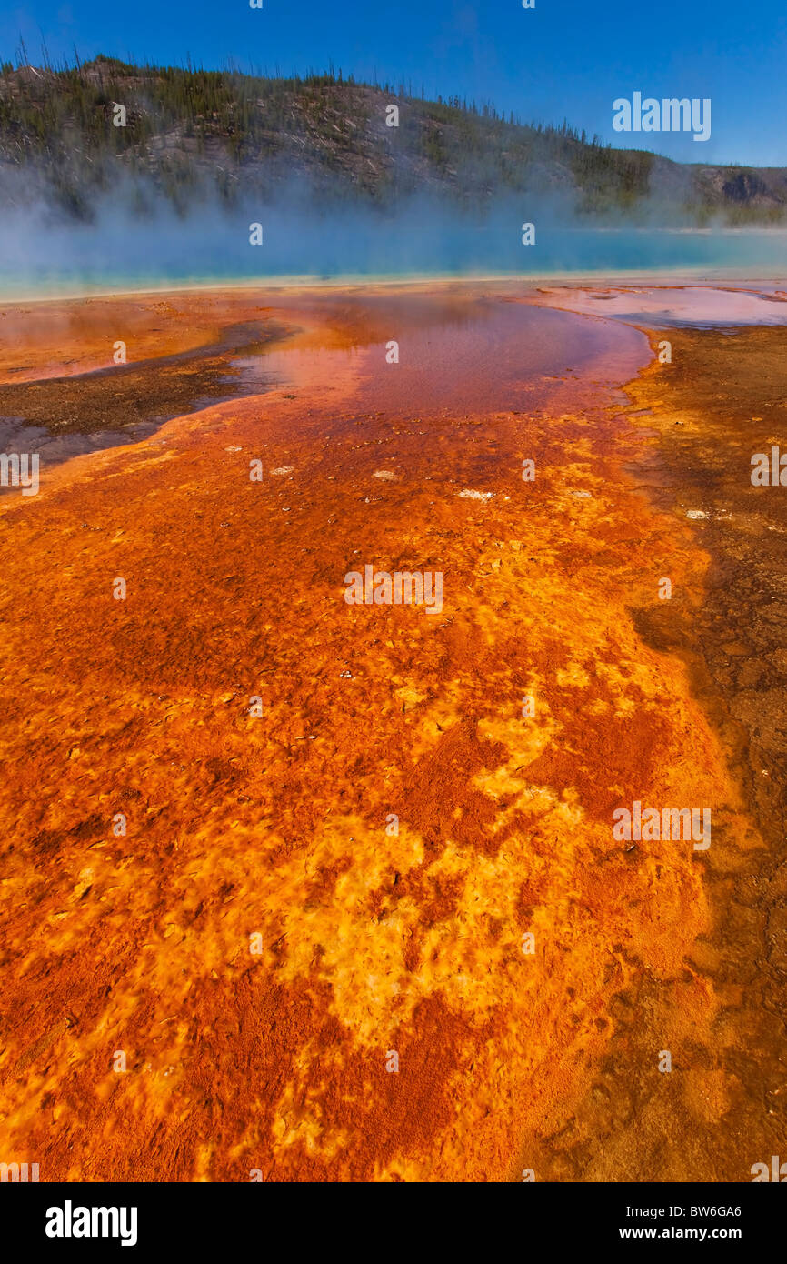 Yellowstone's fabulously colorful and incredible Grand prismatic spring ...