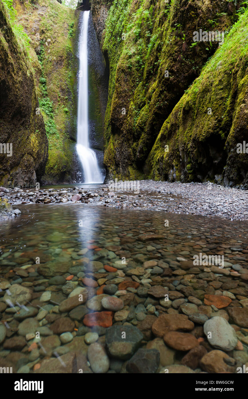 Lower Oneonta Falls and Oneonta Gorge, Oregon USA Stock Photo - Alamy