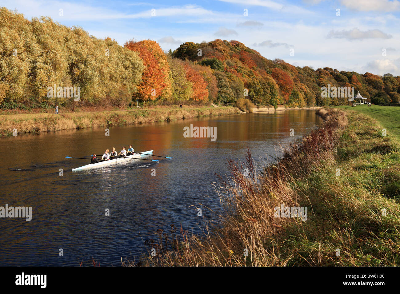 Rowing on the river Wear at Durham Stock Photo - Alamy