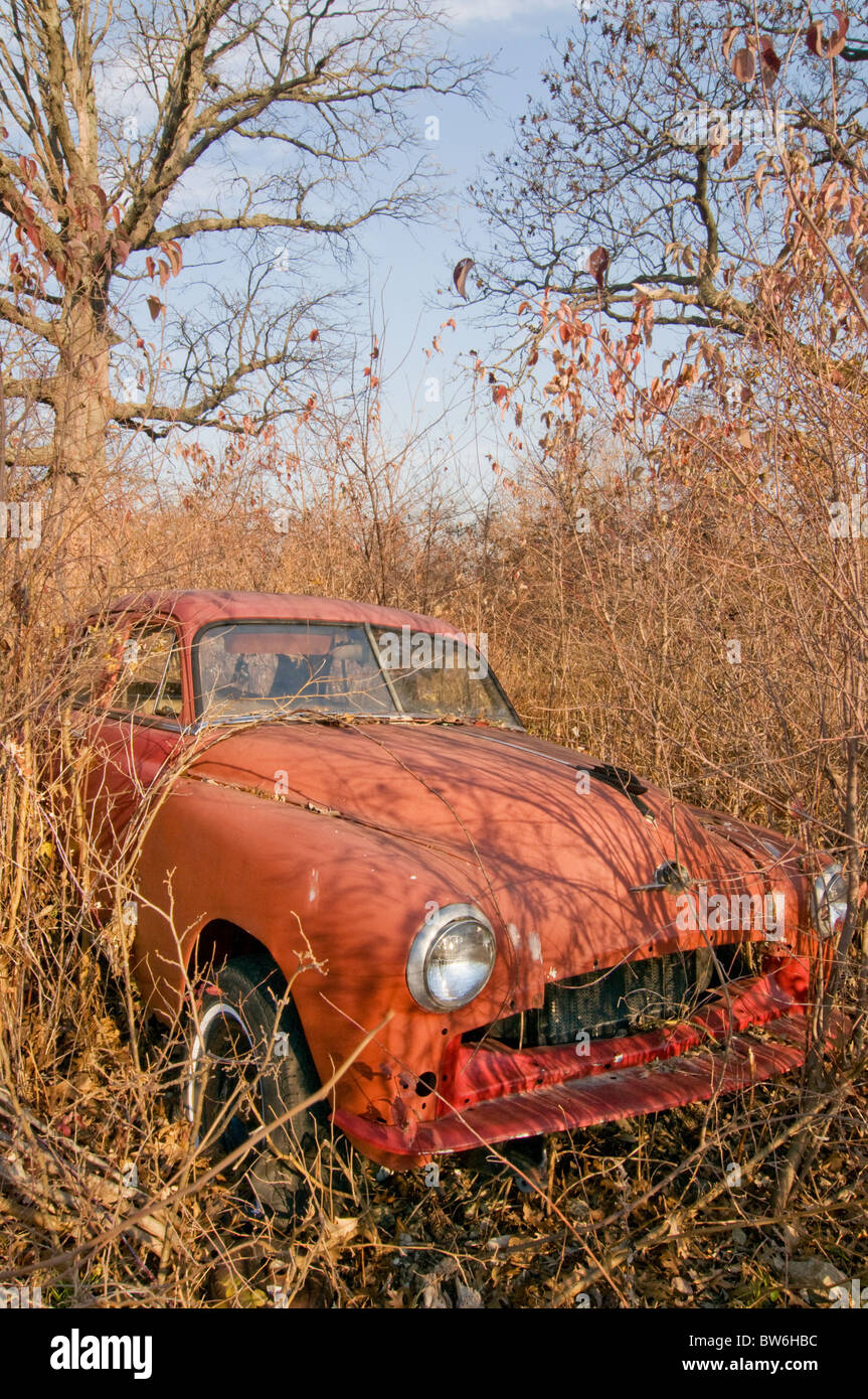 Abandoned Orange Car in Overgrown Field Stock Photo - Alamy